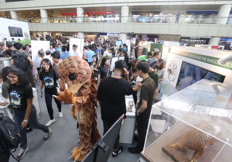 NParks discovers 40 potentially new species of animals in Bukit Timah ...