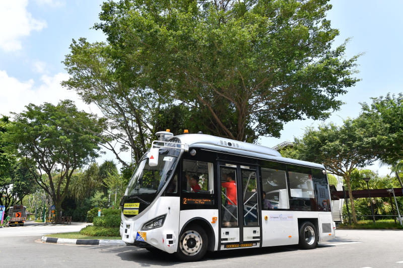 Automated buses dodge peacocks, tourists and plants in Singapore test ...