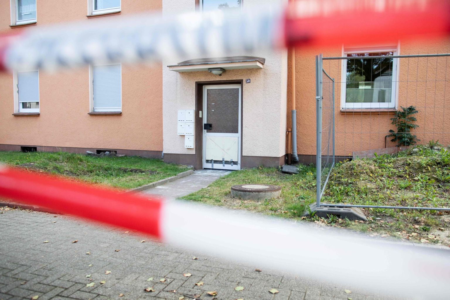 Deadly cobra caught in Germany after five days on the loose | The ...