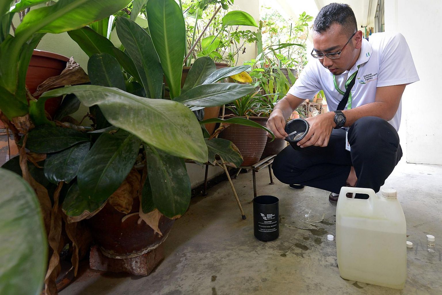 Parliament: 14,000 more mozzie traps to be deployed in next 4 months as ...