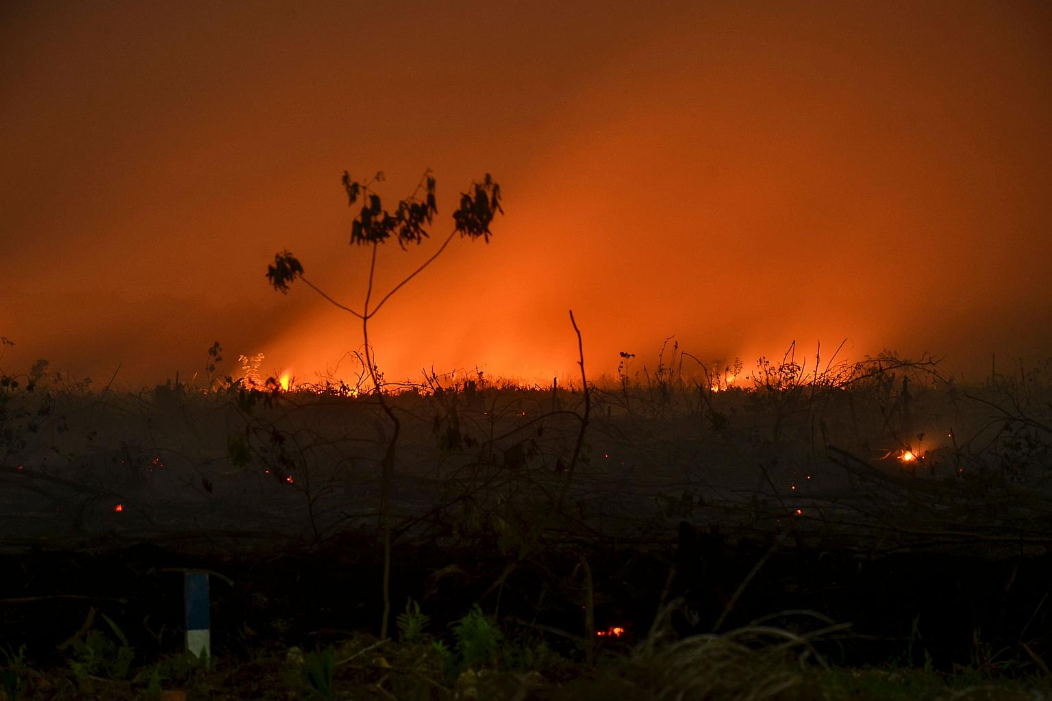 A tale of two burning rainforests: How fires in the Amazon and ...