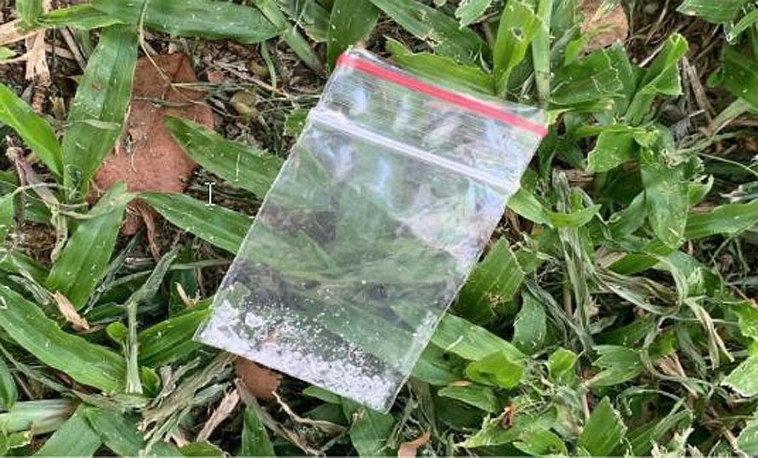 159 suspected drug offenders nabbed in 12-day CNB raid | The Straits Times