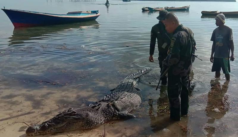 philippines man crocodile attack