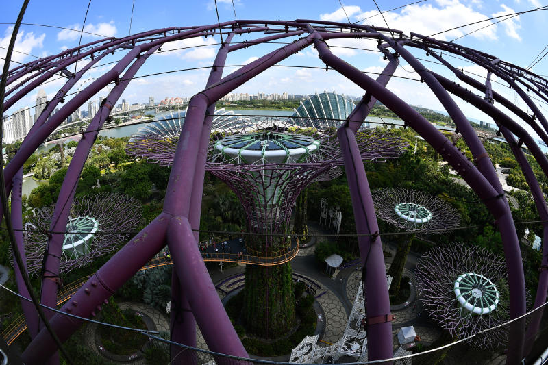 New observatory on top of tallest supertree at Gardens by the Bay | The ...