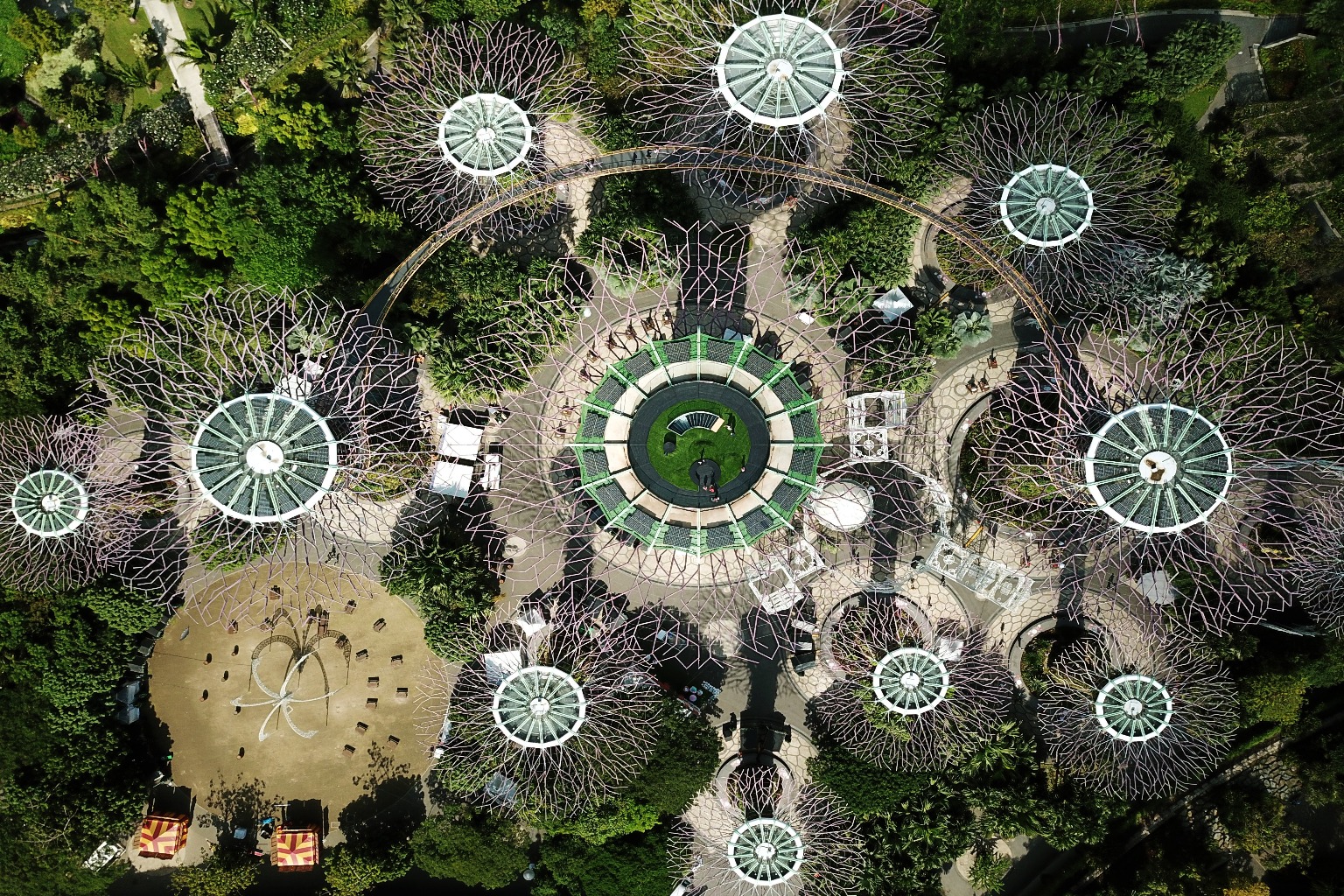 New observatory on top of tallest supertree at Gardens by the Bay | The ...