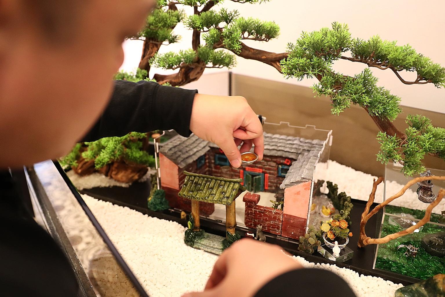 Small wonders: Asia’s first ant museum in Singapore | The Straits Times