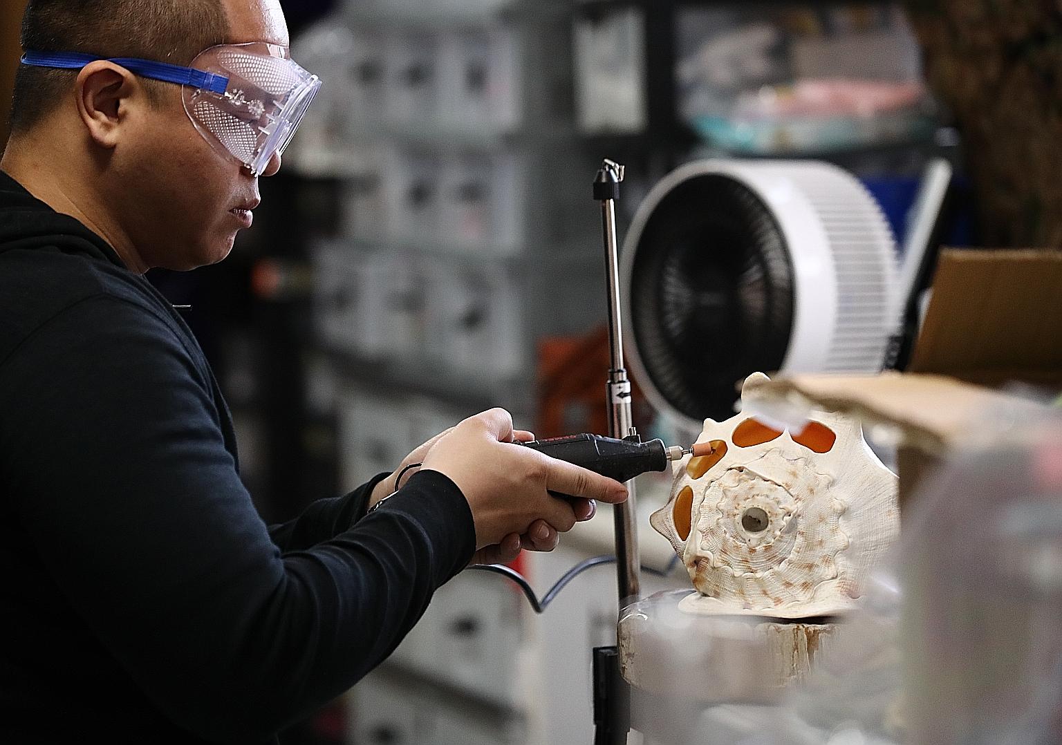 Small wonders: Asia’s first ant museum in Singapore | The Straits Times