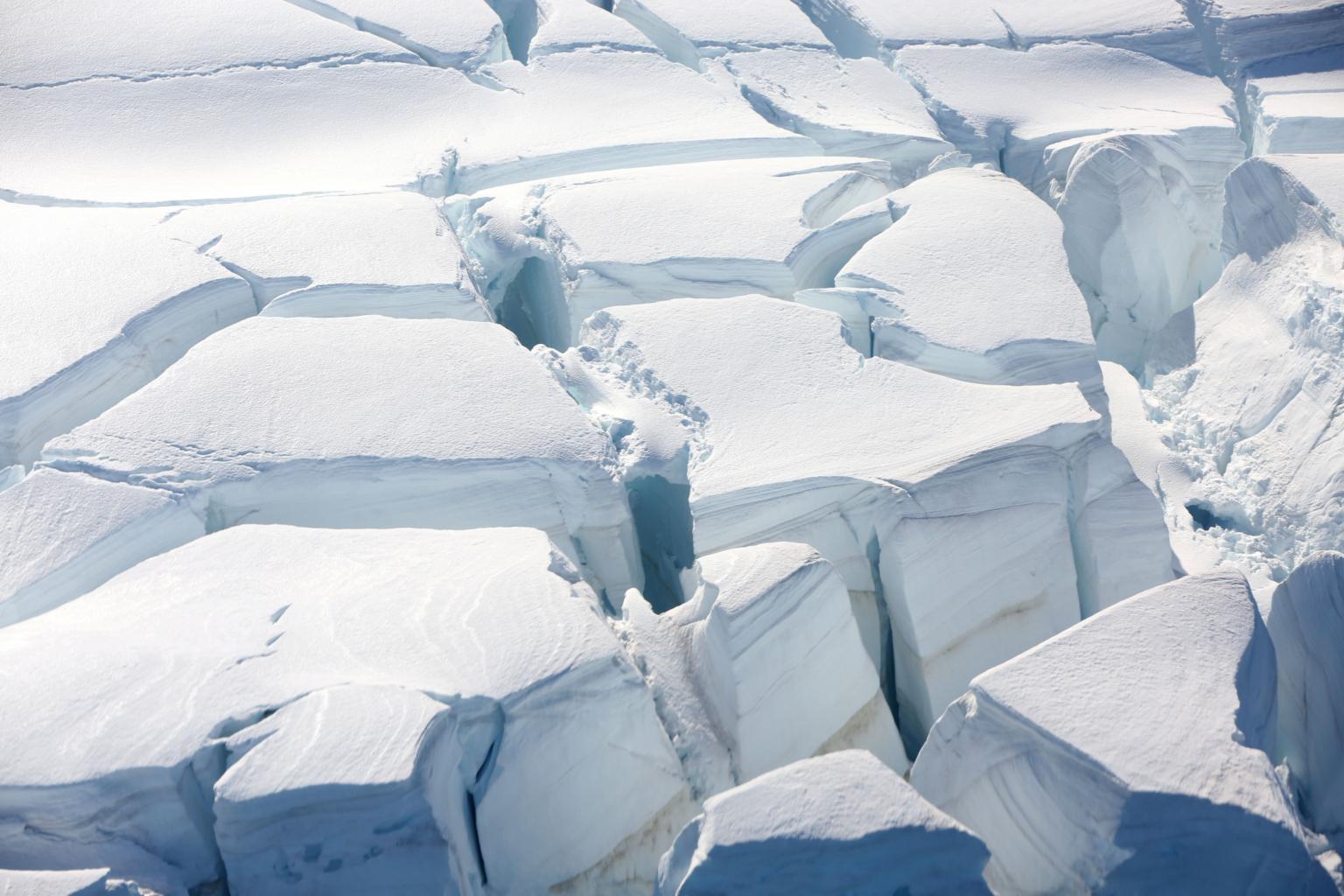 Frozen and desolate Antarctica once boasted warm, swampy rainforests ...