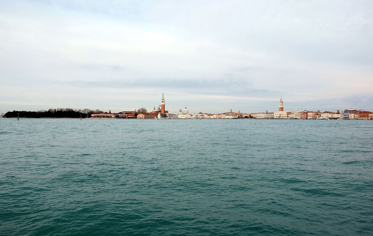 Coronavirus calm reveals flourishing Venice Lagoon ecosystem | The ...