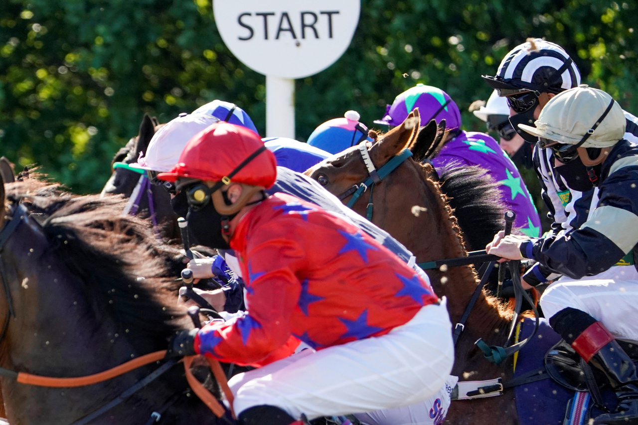 Coronavirus: English horse racing passes its exam on return to action ...