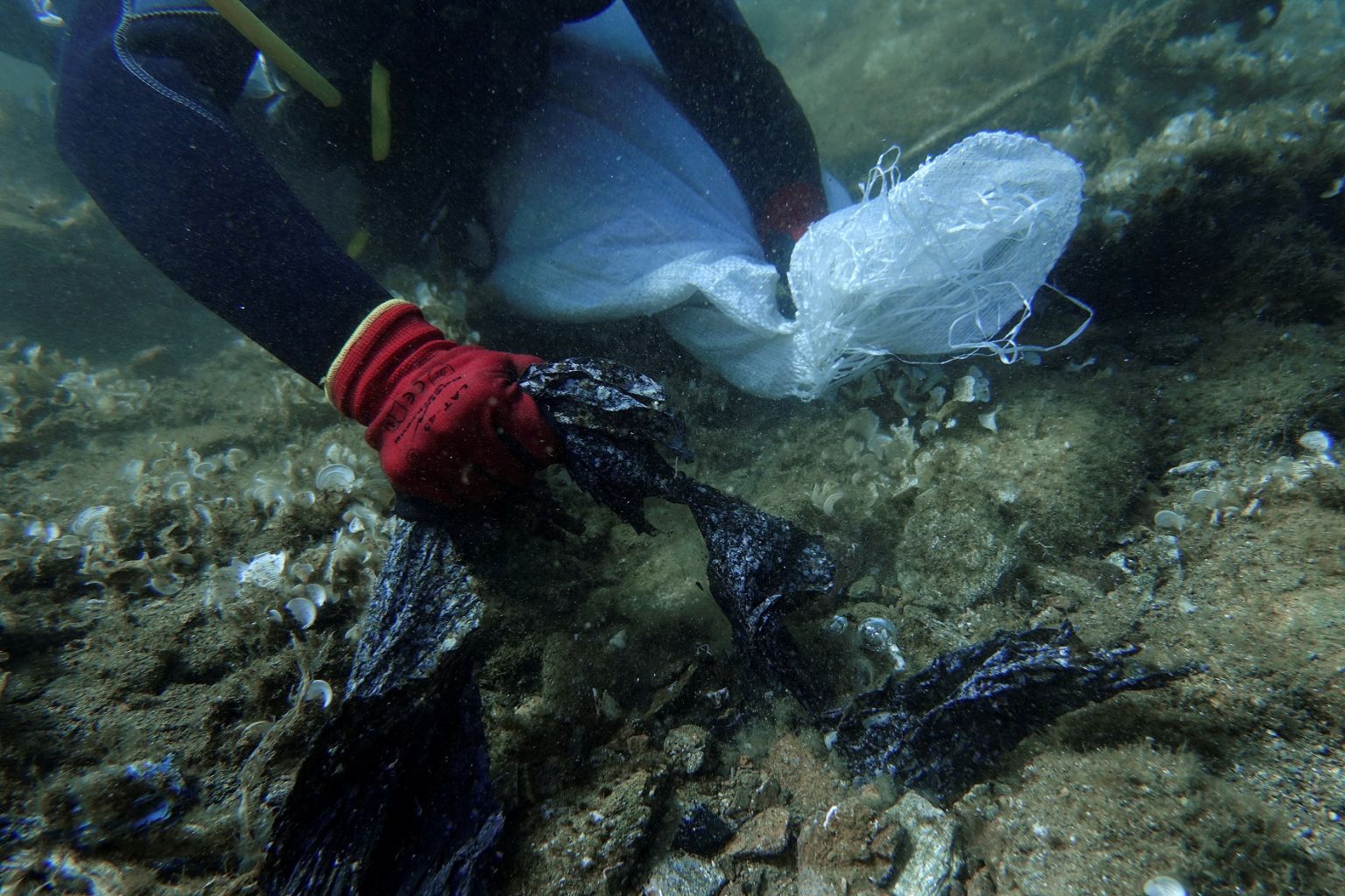 Atlantic plastic levels far higher than thought, study shows | The ...
