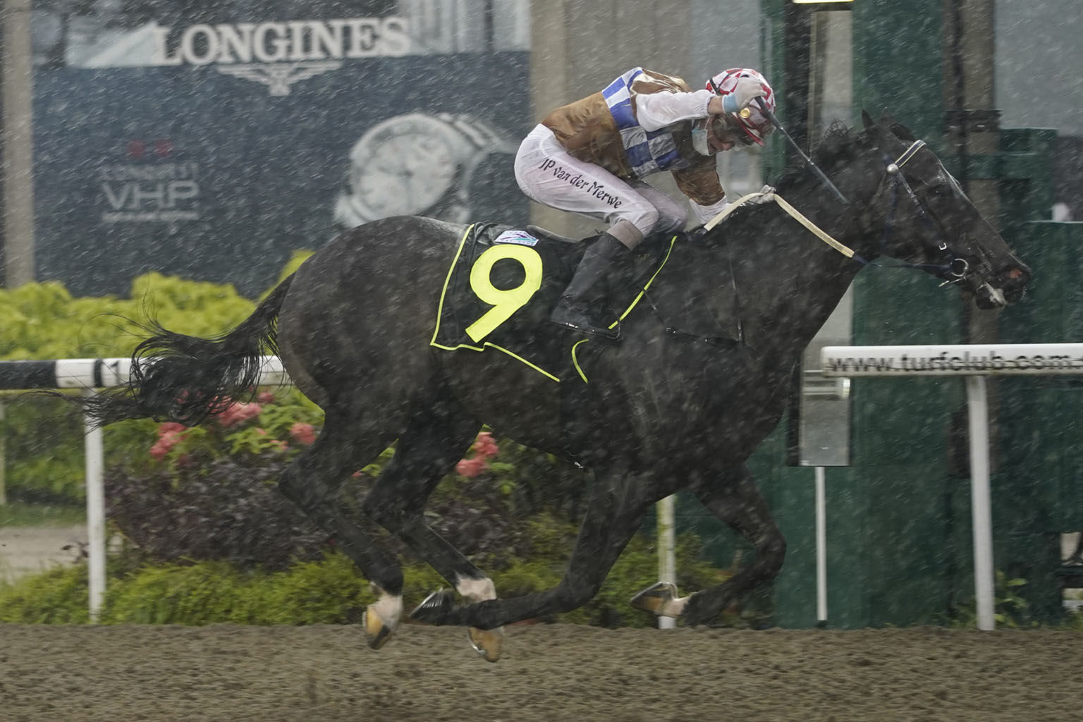 Surpass Natural big chance in Merlion | The Straits Times