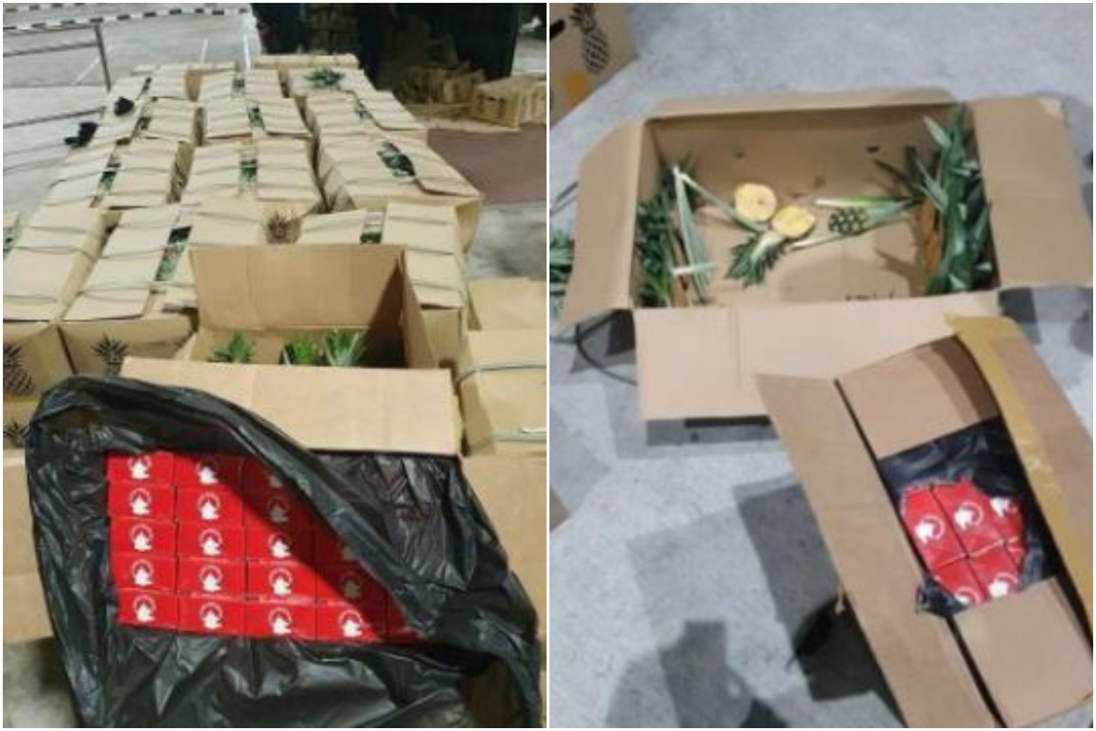 ICA seizes 7,559 cartons of duty-unpaid cigarettes hidden among tissue ...