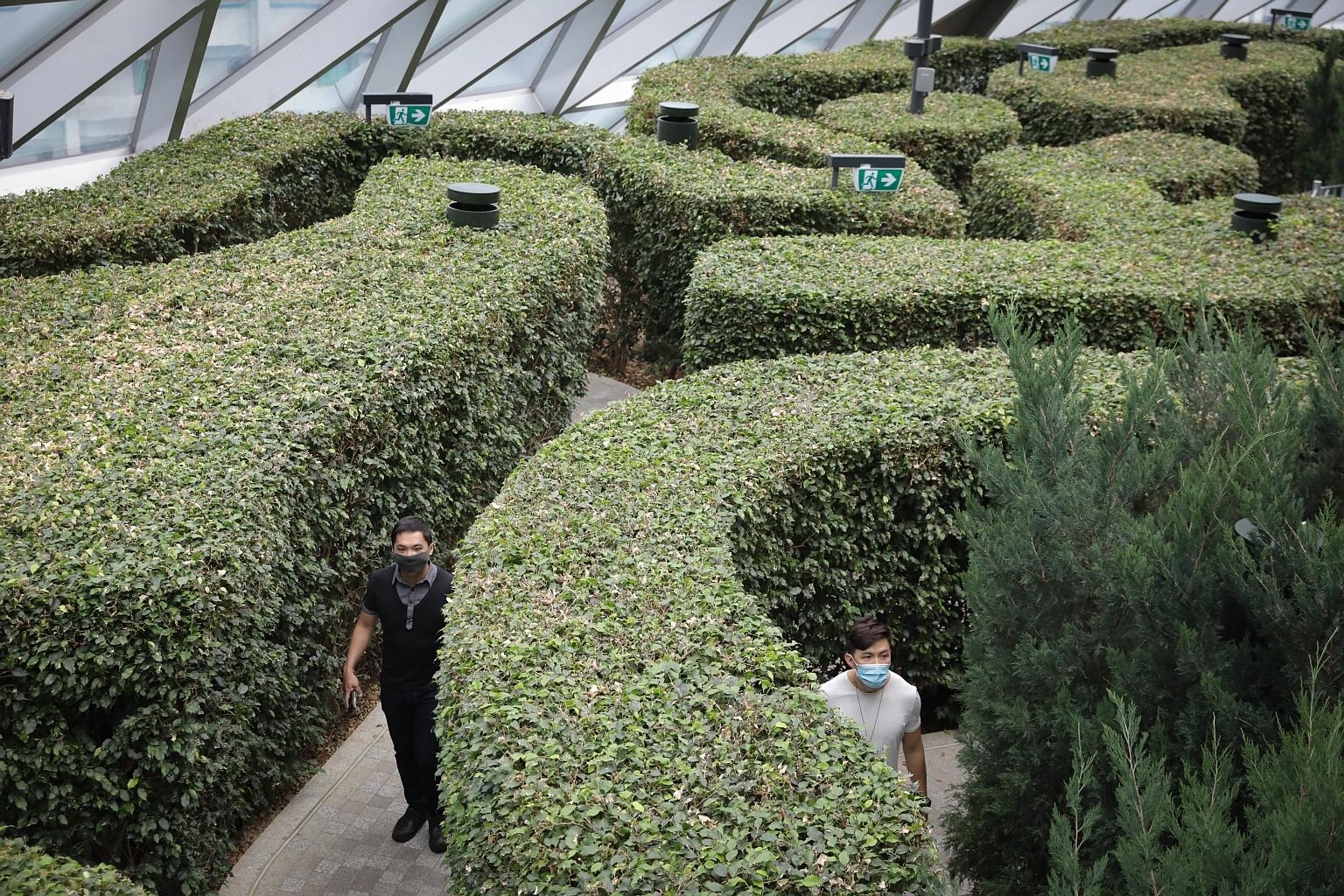 Fun for grown-ups: Lose yourself in mazes at Canopy Park | The Straits ...