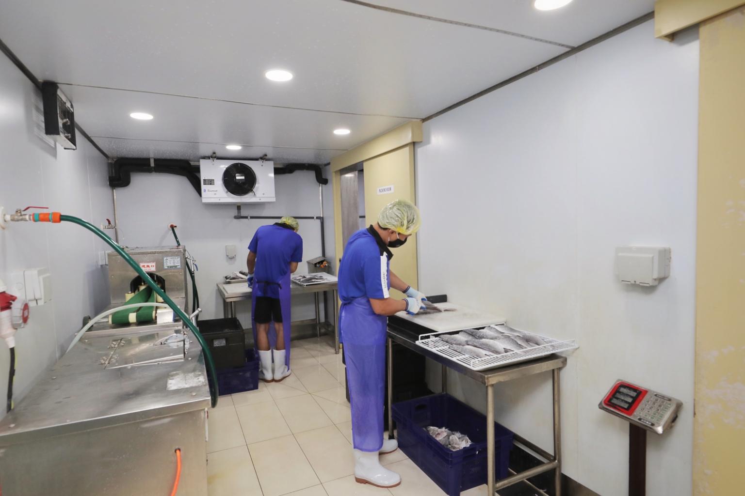 High-tech fish farm first in Singapore to have own post-harvest ...