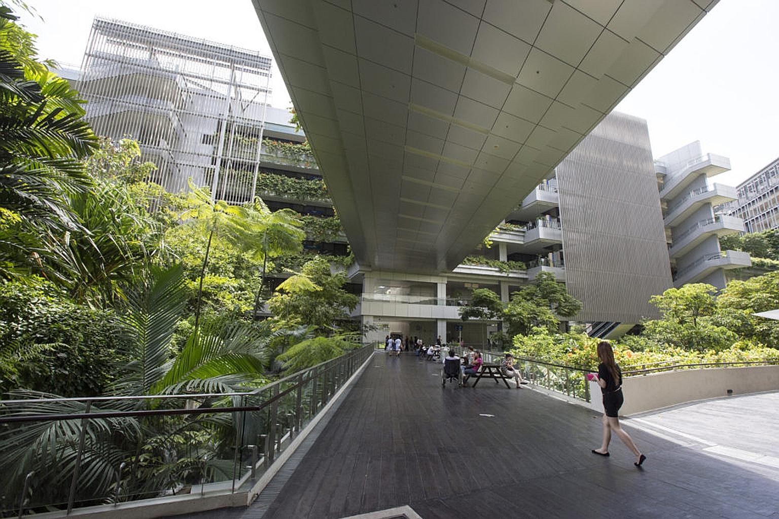 Full refund for those given unnecessary treatment at KTPH | The Straits ...