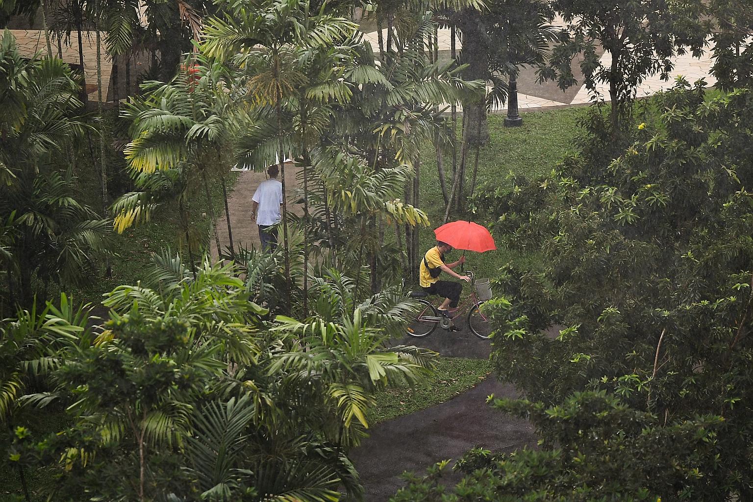 Heavy and persistent rain expected over the weekend | The Straits Times