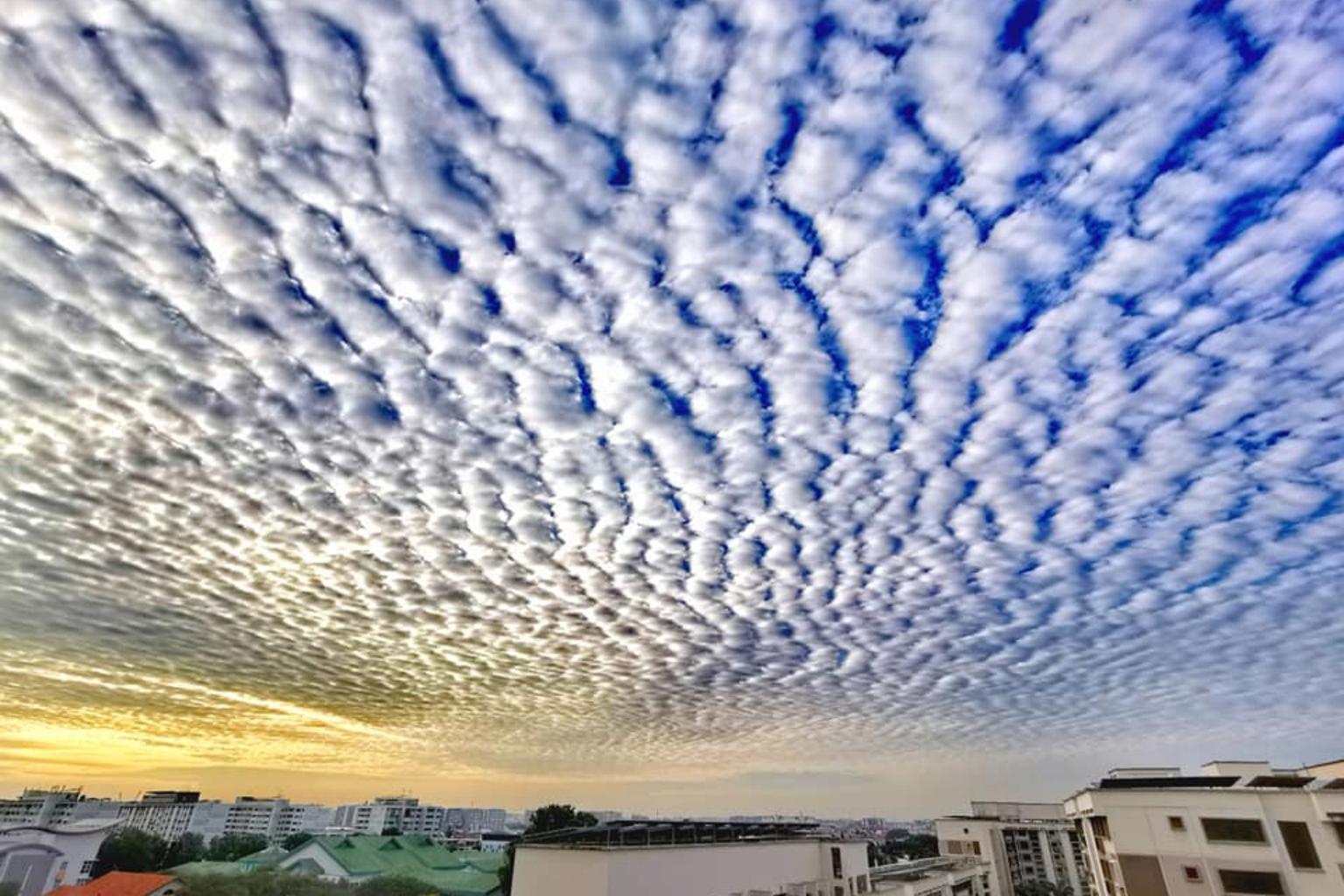 Singapore wakes up to blanket of altocumulus clouds on Sunday morning ...