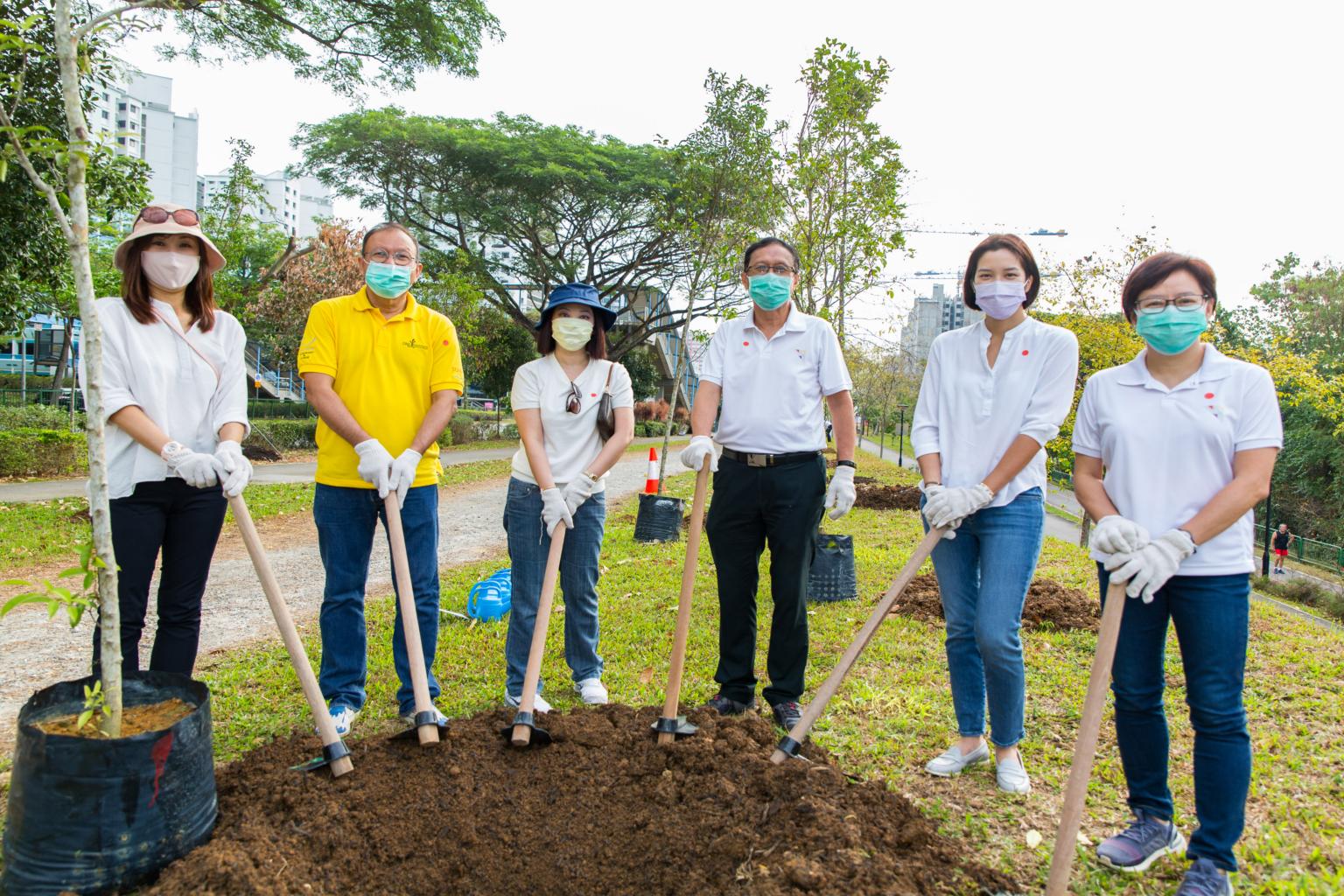 Hospital plants 50 trees in support of NParks' 1 million tree goal ...