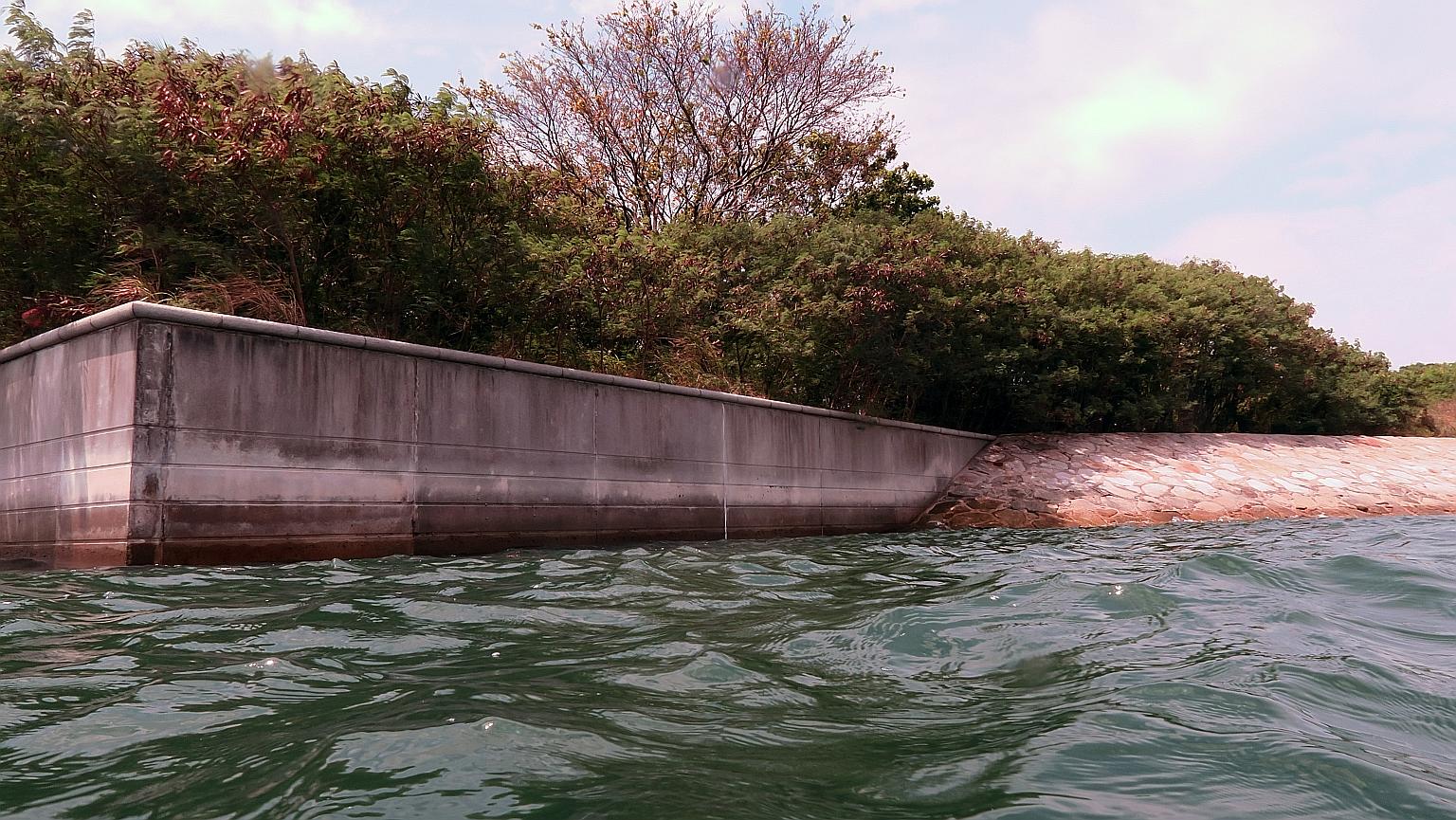 Designing seawalls on which marine life can thrive | The Straits Times