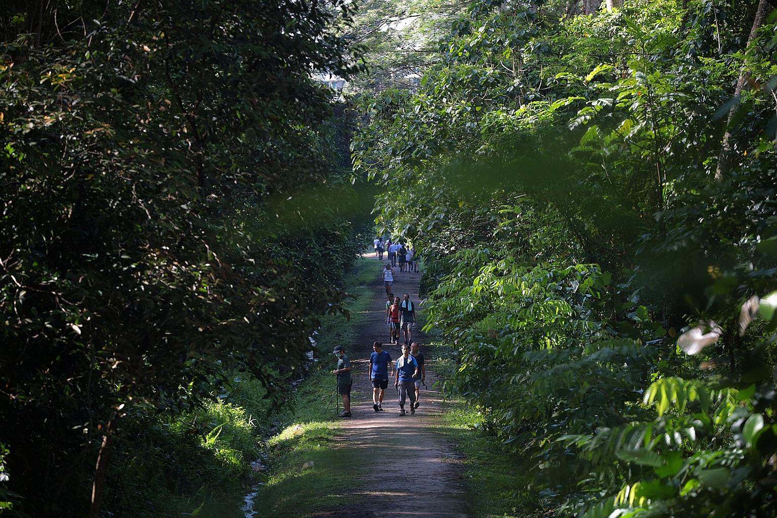 Section of Rail Corridor reopens with new features, access points | The ...