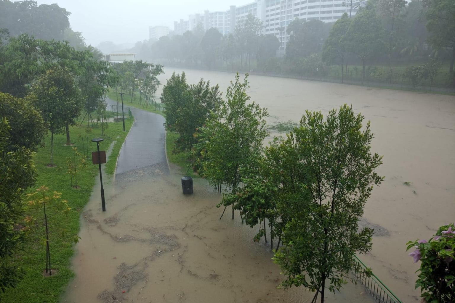 Heavy rain triggers flooding across Singapore | The Straits Times
