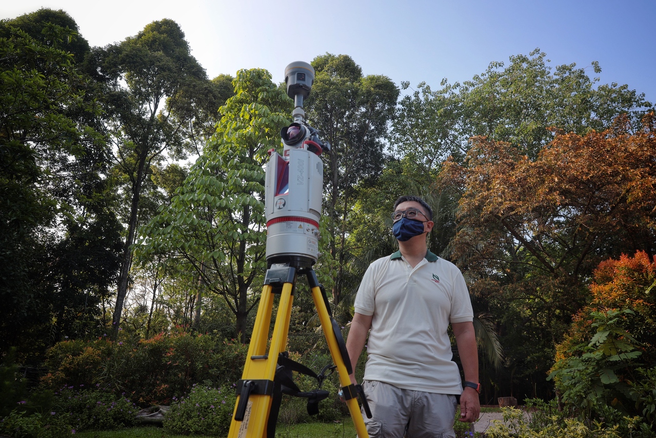 NParks finds new use for ‘old tech’ to maintain S’pore’s trees | The ...