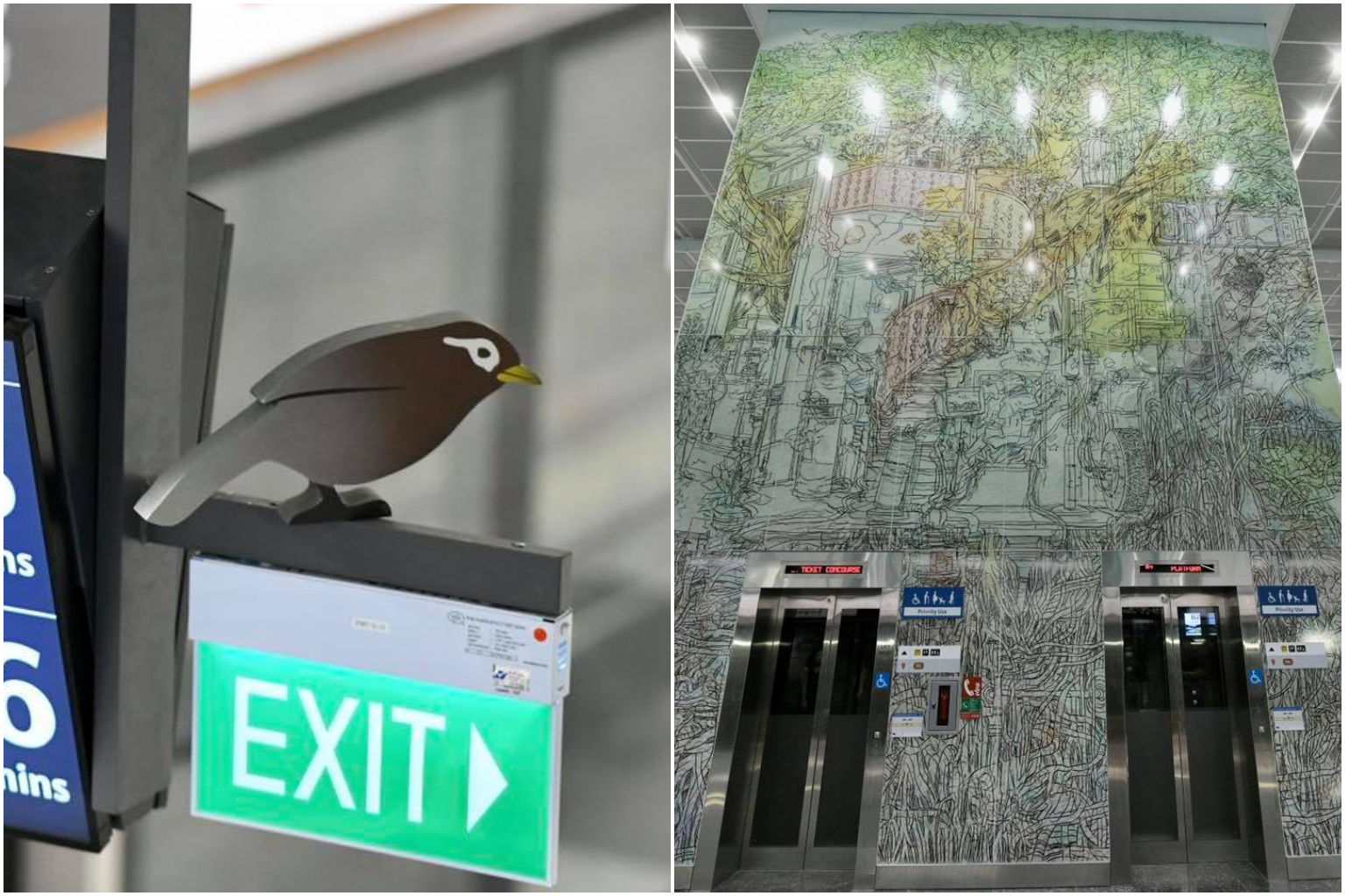 Thomson-East Coast Line's new Mayflower station to have bird sculptures ...