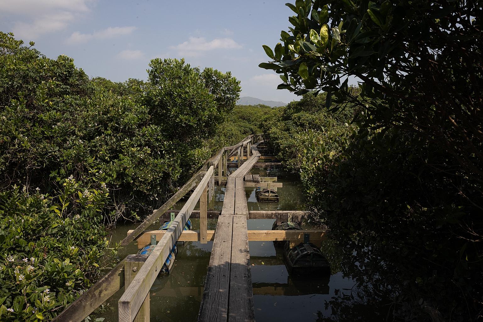 Nature reserved | The Straits Times