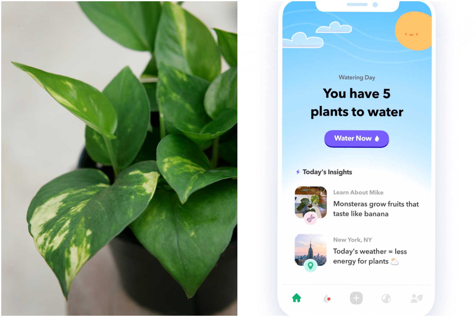 Stay-home guide for Tuesday: Rediscover your inner child, cook Japanese ...