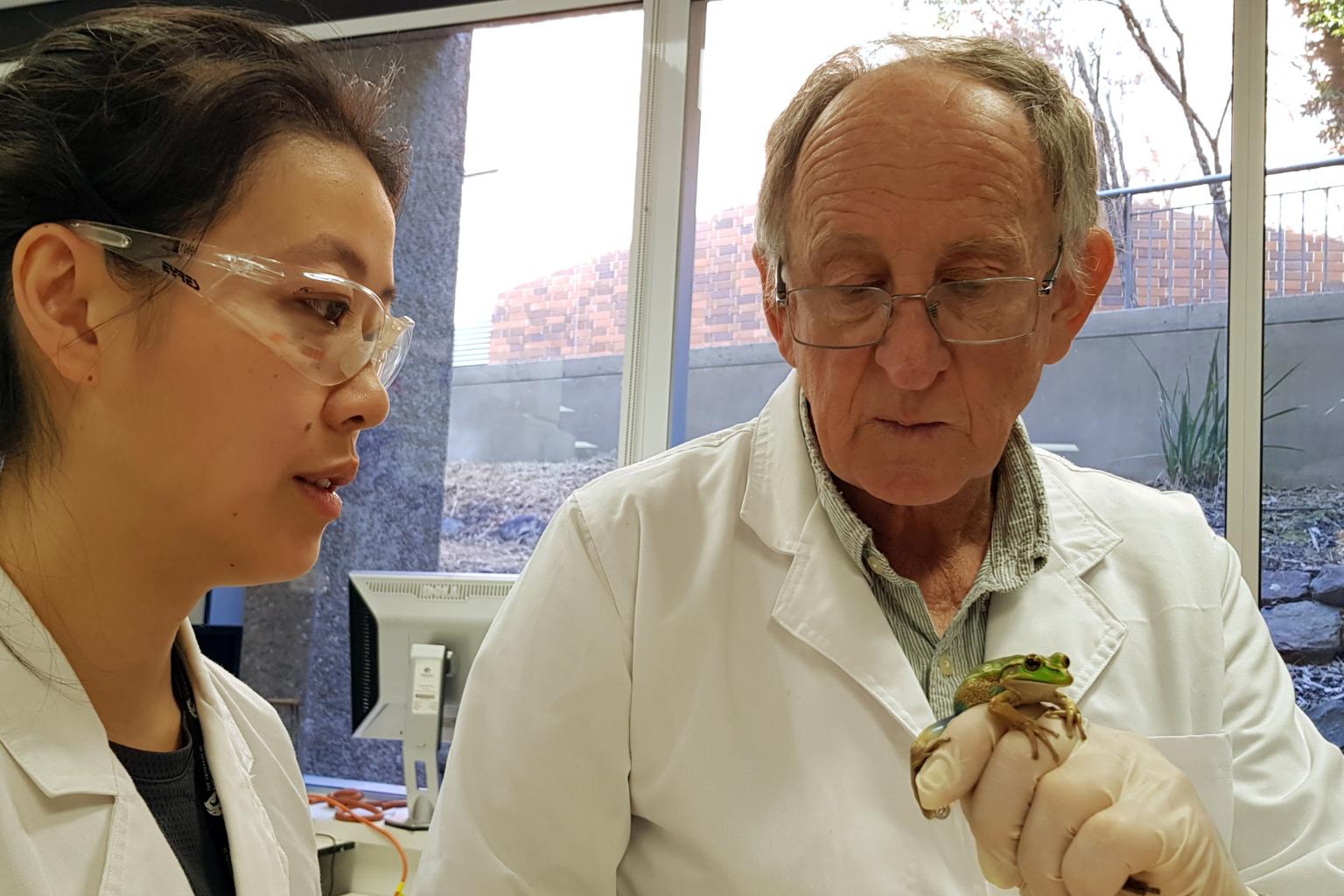 Frog whisperer: Australian scientist speaks to frogs, fears their ...
