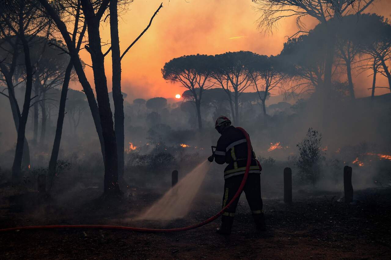 Campsites evacuated as France battles wildfire near Saint-Tropez | The ...