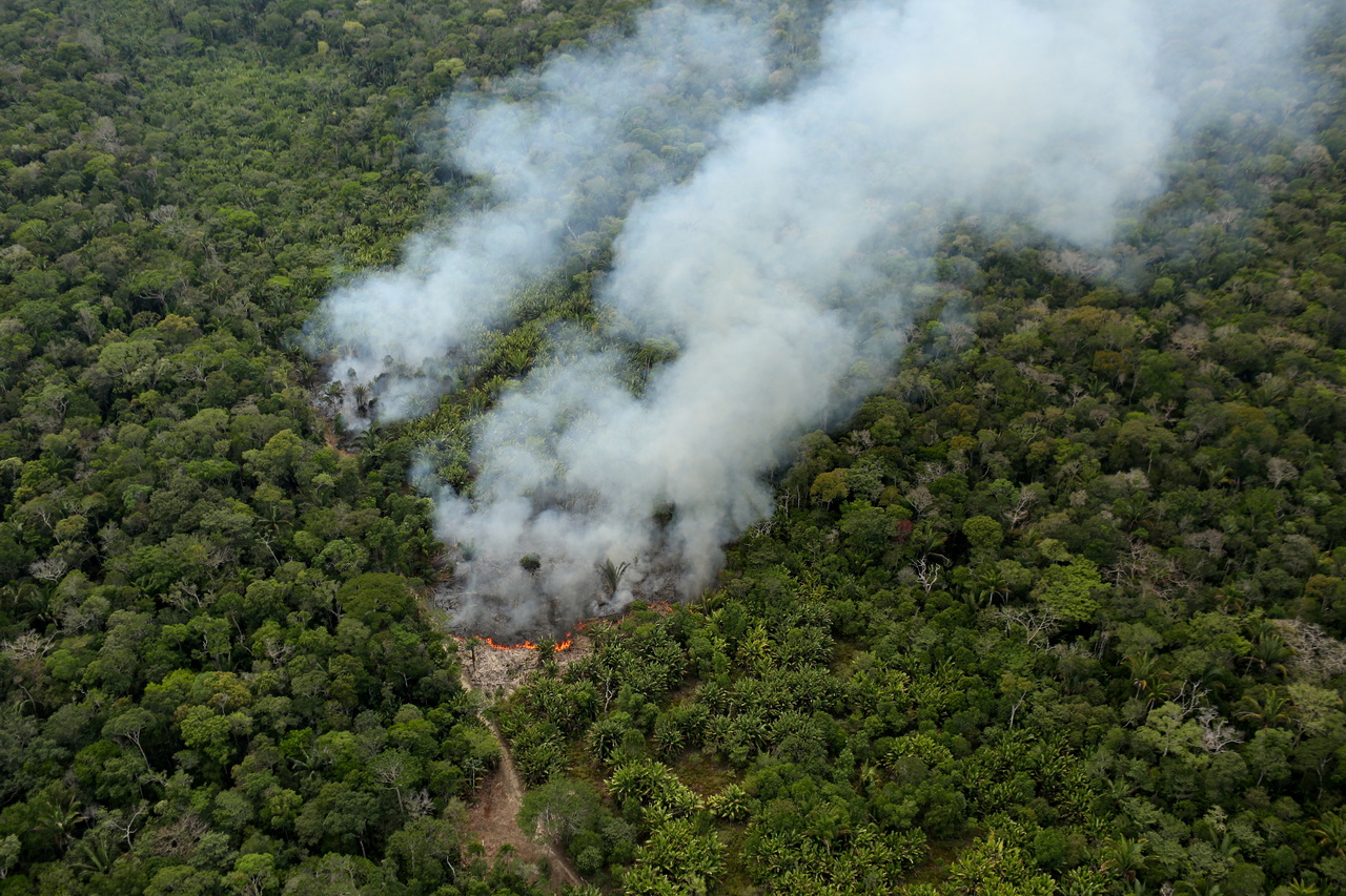 Tribes launch bid to protect Amazon forest at global conservation forum ...
