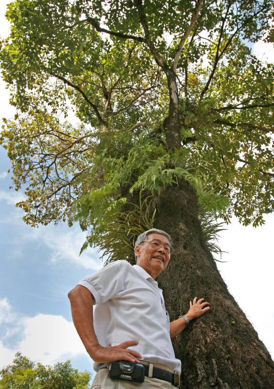 Pioneer in Singapore's greening efforts, Wong Yew Kwan, dies at 89 ...