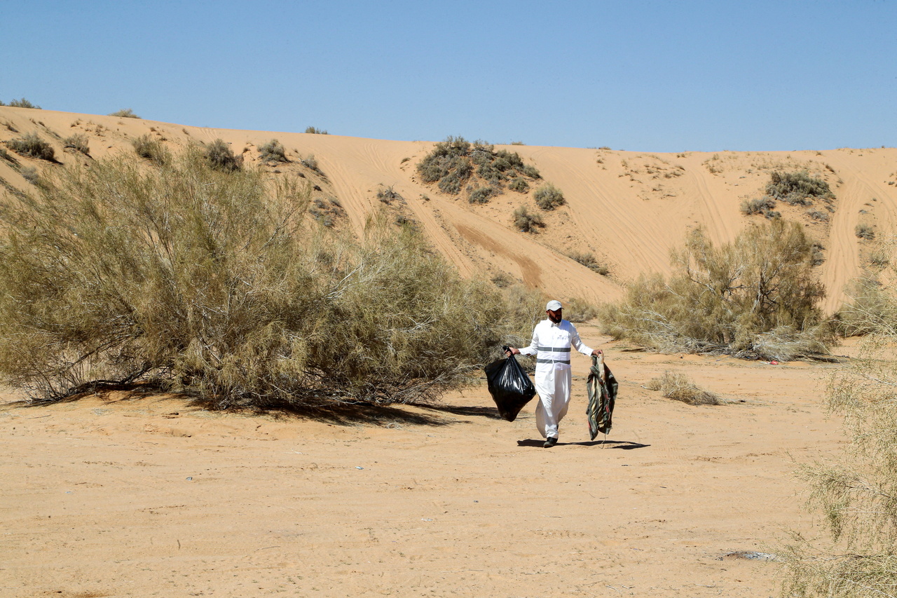 Saudi Arabia turns to drought-surviving saxaul tree for climate defence ...