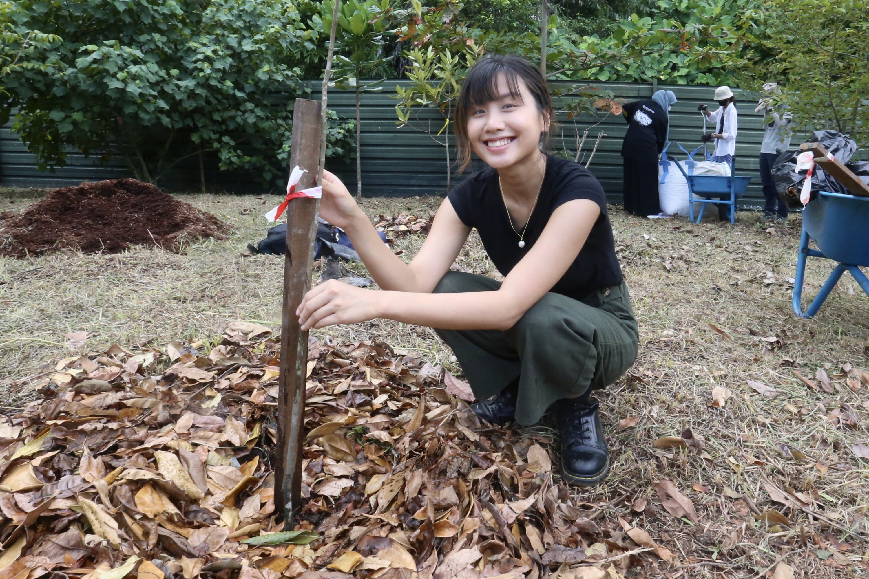 Science journals: Planting a tree for habitat restoration at Kranji ...