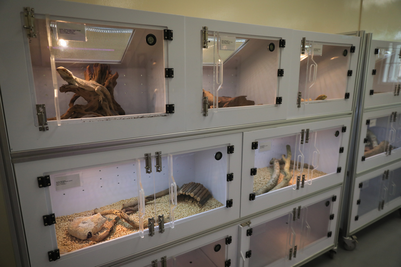 New Centre for Wildlife Rehabilitation in Lim Chu Kang to care for ...