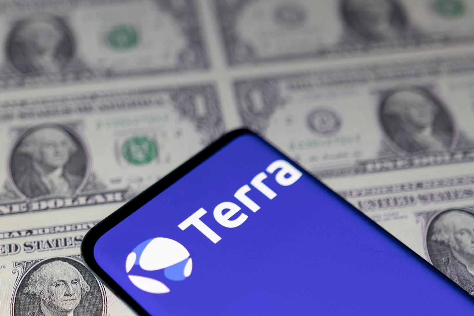 Terra investors in India lost big, now they face the taxman | The ...