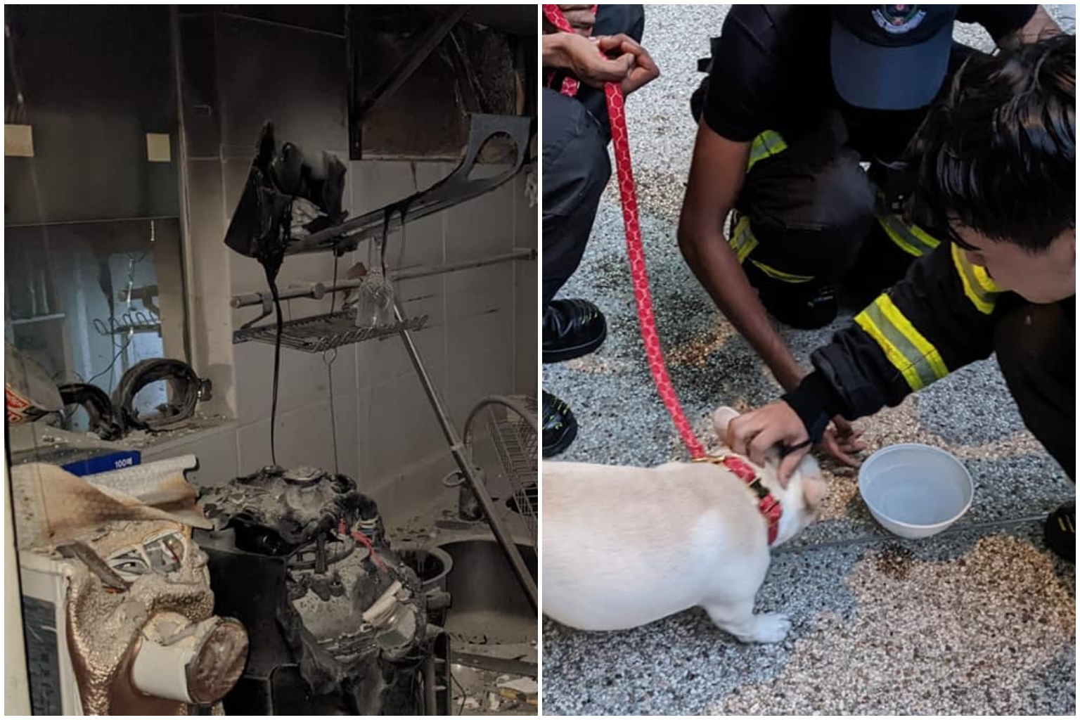 10 people evacuated, dog rescued in Sengkang condo fire | The Straits Times
