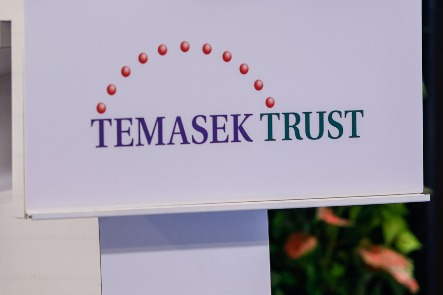 Temasek Trust launches centre aimed at advancing impact investing, a first in Asia | The Straits ...