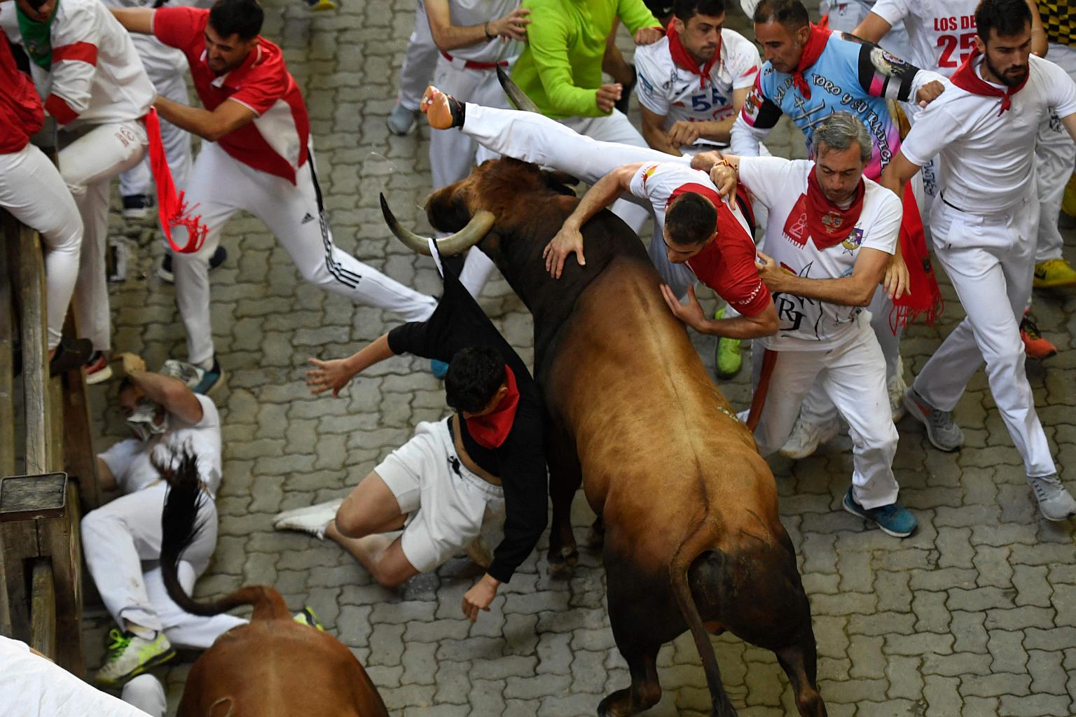 Three gored at Pamplona's fifth bull run | The Straits Times