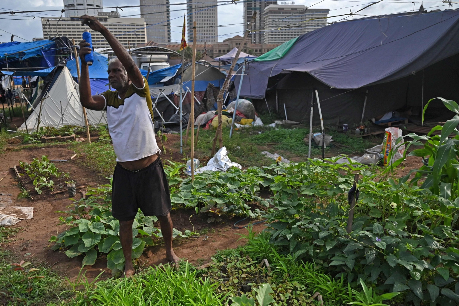 Hunger pains in Colombo as Sri Lanka's food prices rocket | The Straits ...