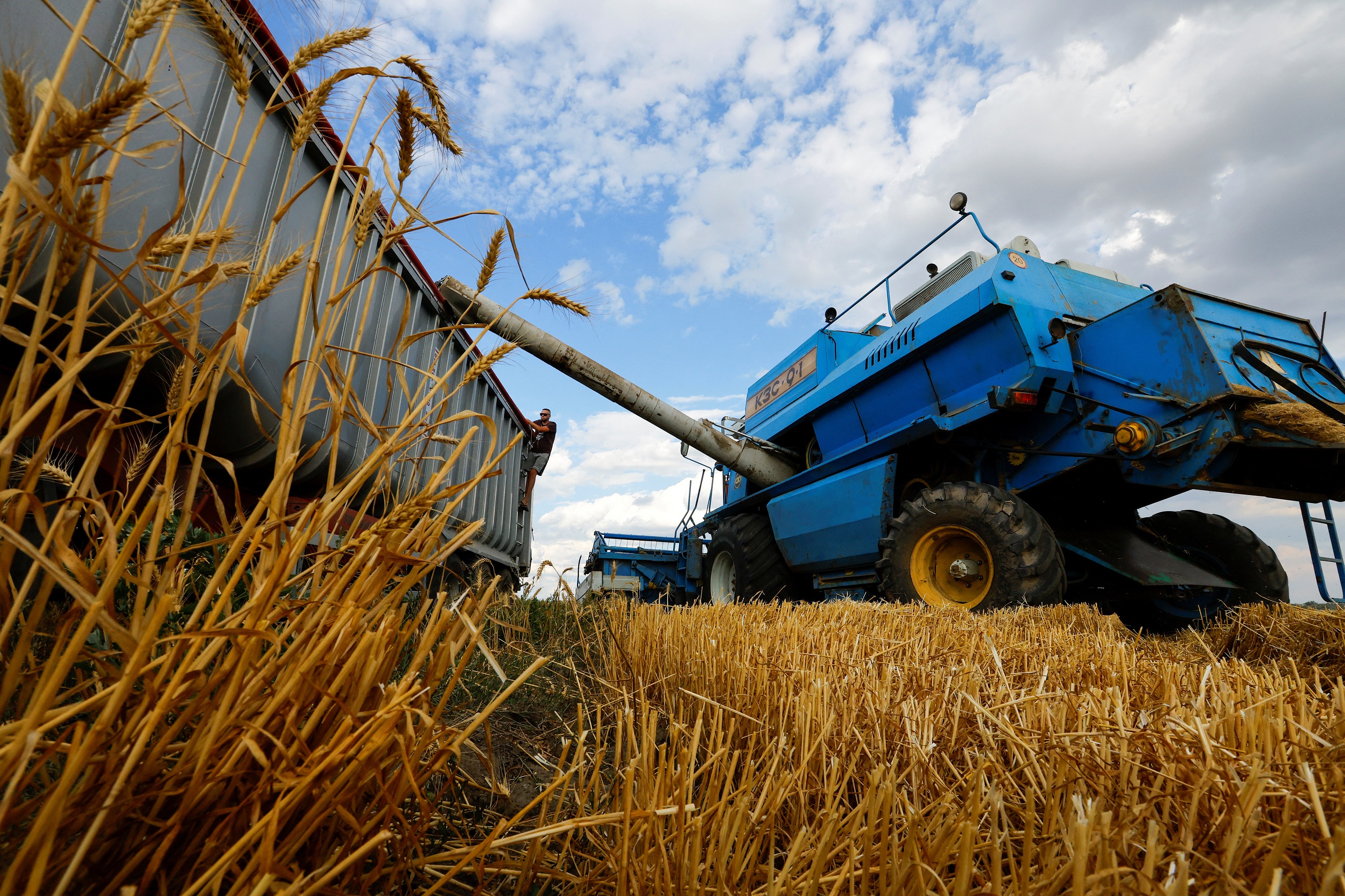 Seafarer shortage stands in way of Ukraine grain corridor | The Straits ...