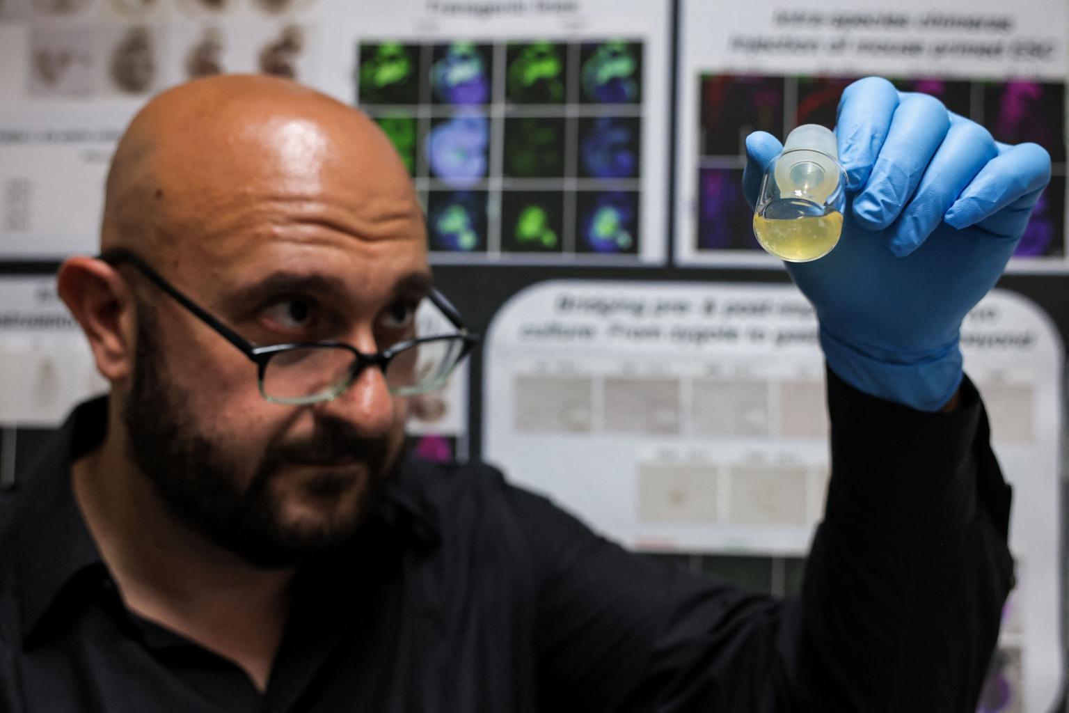 Scientists achieve 'synthetic embryo' breakthrough but growing human ...