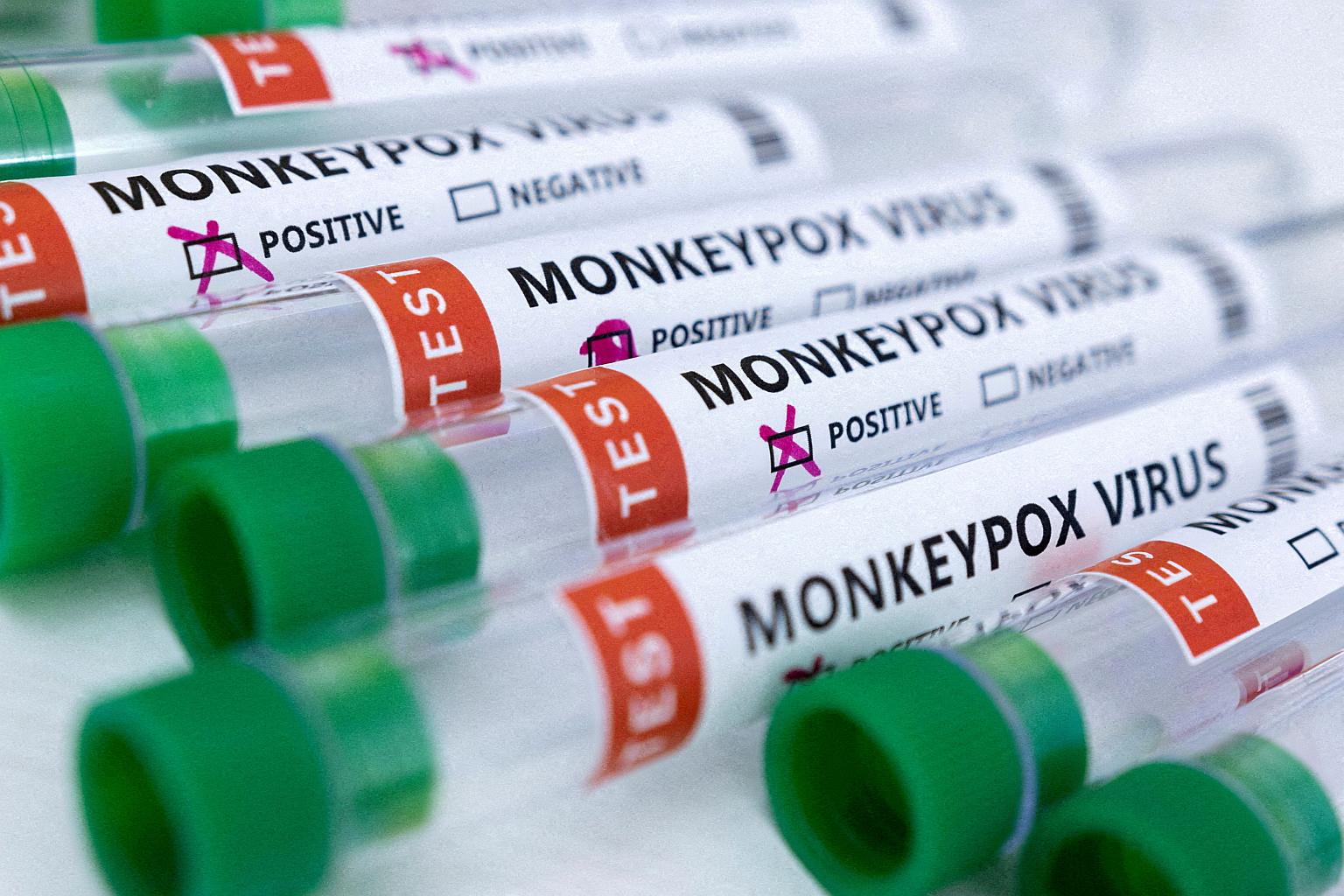 Three more cases of monkeypox detected in S'pore, bringing total to 19 | The Straits Times