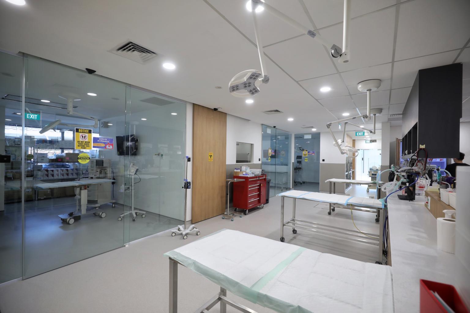New veterinary hospital officially opens in Whitley Road to cater to ...