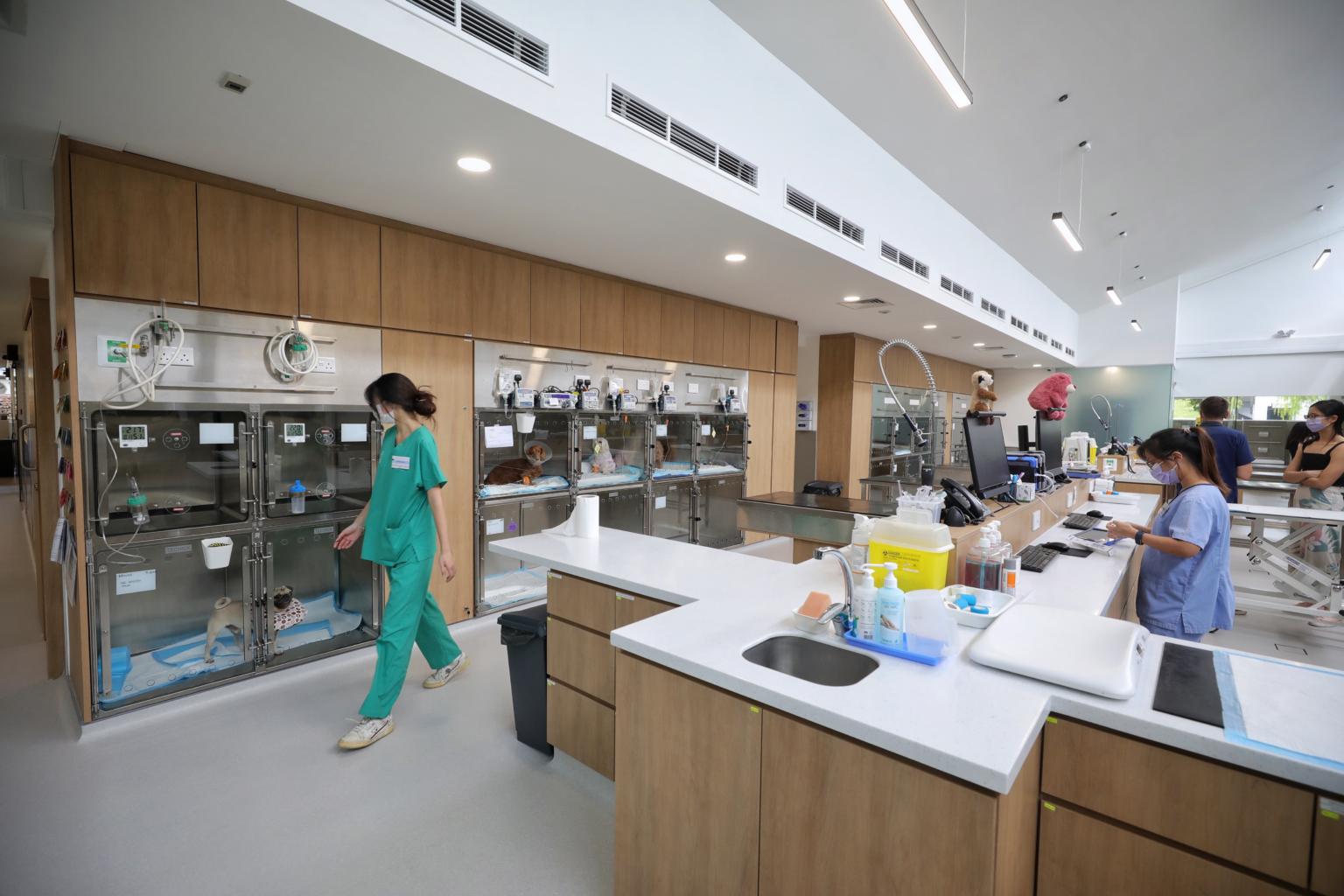 New veterinary hospital officially opens in Whitley Road to cater to ...