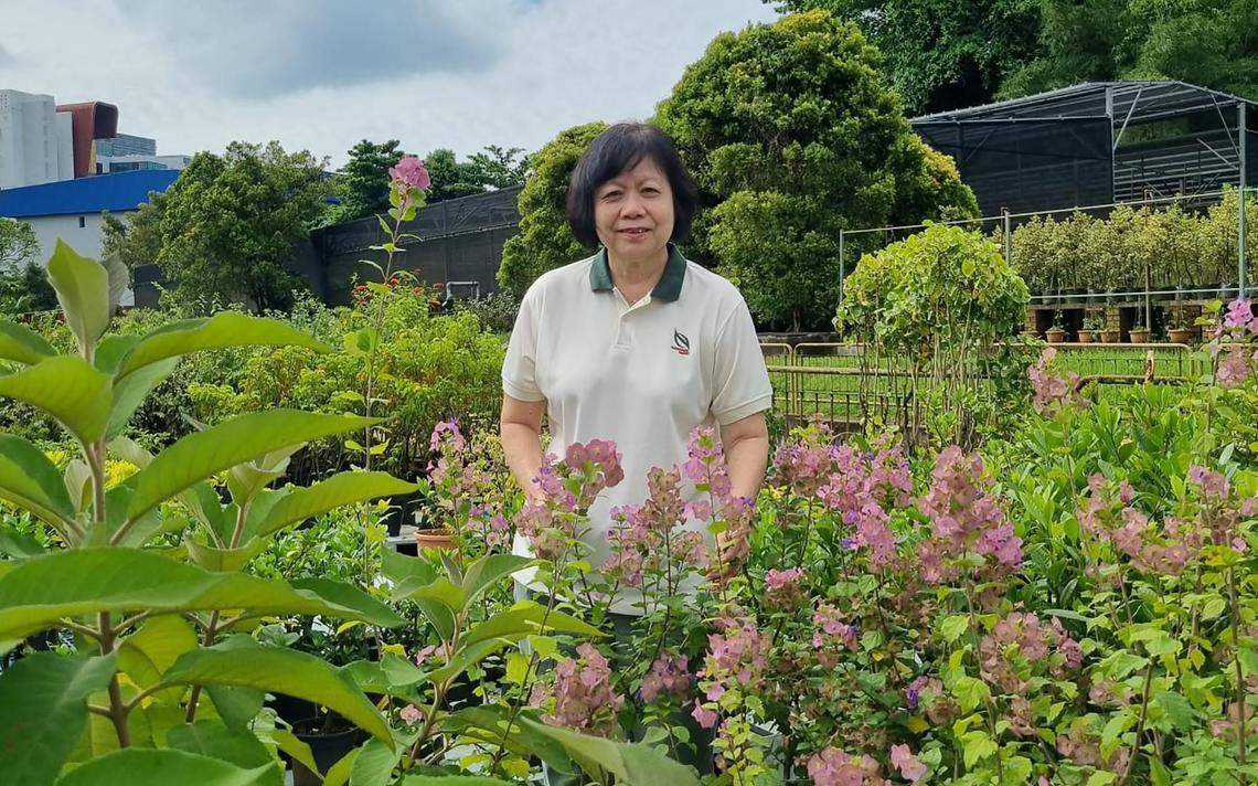 One company for over 40 years: Long-serving employees on why they stayed on | The Straits Times