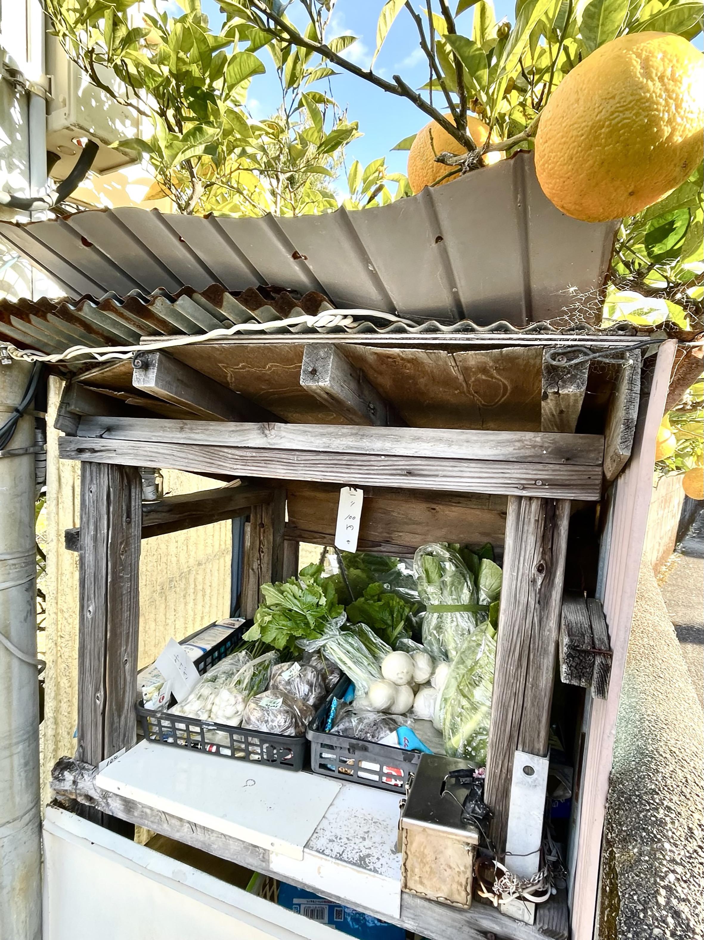 Food and folklore: A journey deep into Japan’s countryside | The ...