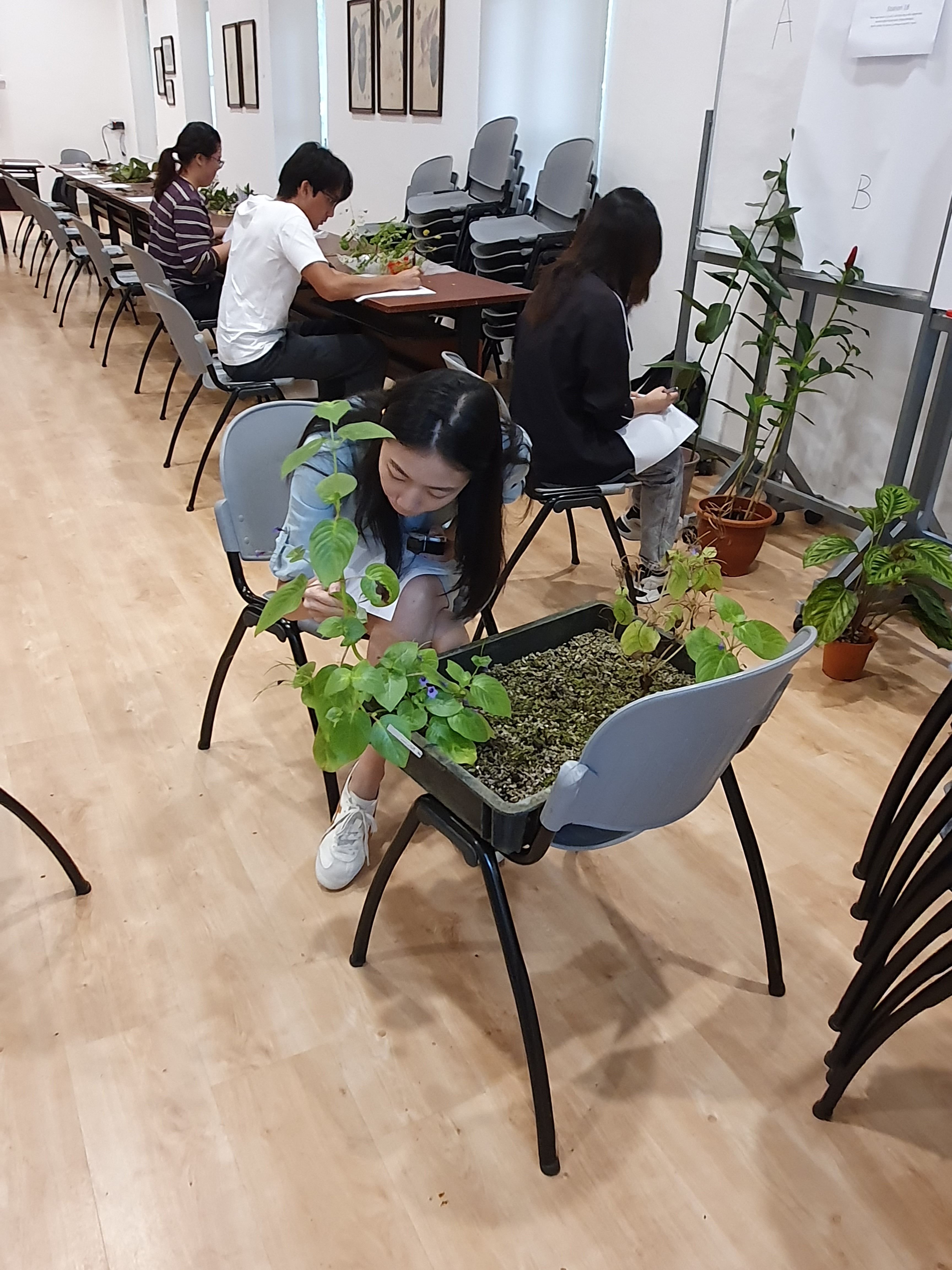 New NUS botany programme aims to increase number of plant experts here ...